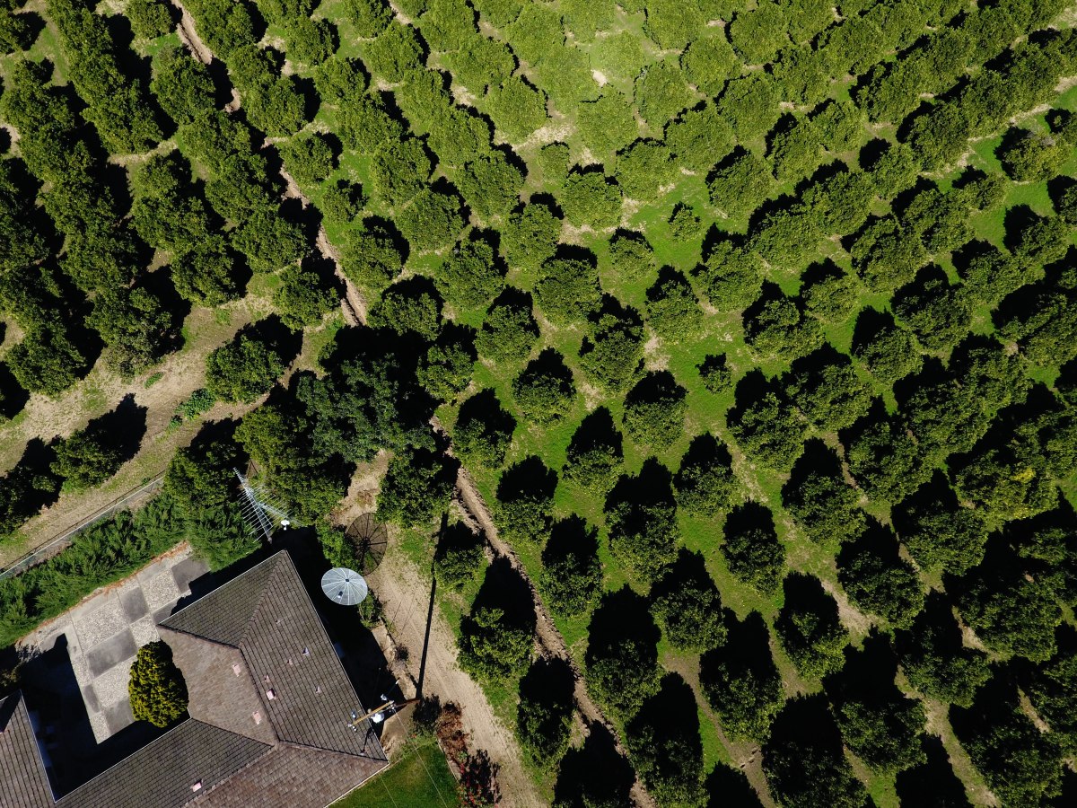 Agricultural Mapping – Aerial Perfectionist